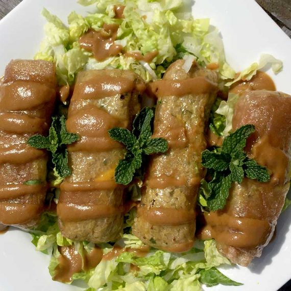 Pan-fried Mango Mint Quinoa Rolls - Hormone + Metabolism Specialist